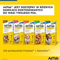 Adtab dla psa zamów teraz