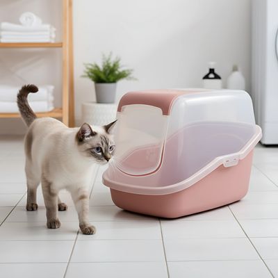 Savic Nestor Toilette per gatti, trasparente compra ora