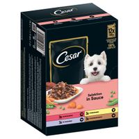Cesar hondenvoer kopen? De beste prijs bij zooplus!