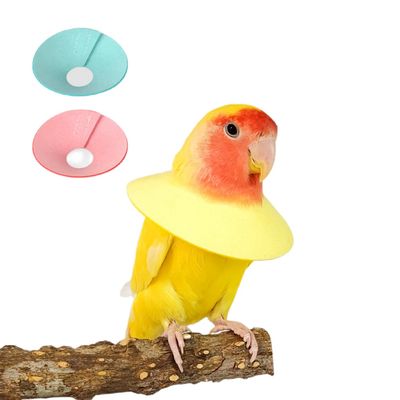 FurryFusion Collier de protection pour perroquet