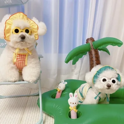 Petopia Lunettes de soleil pour petits chiens pas cher