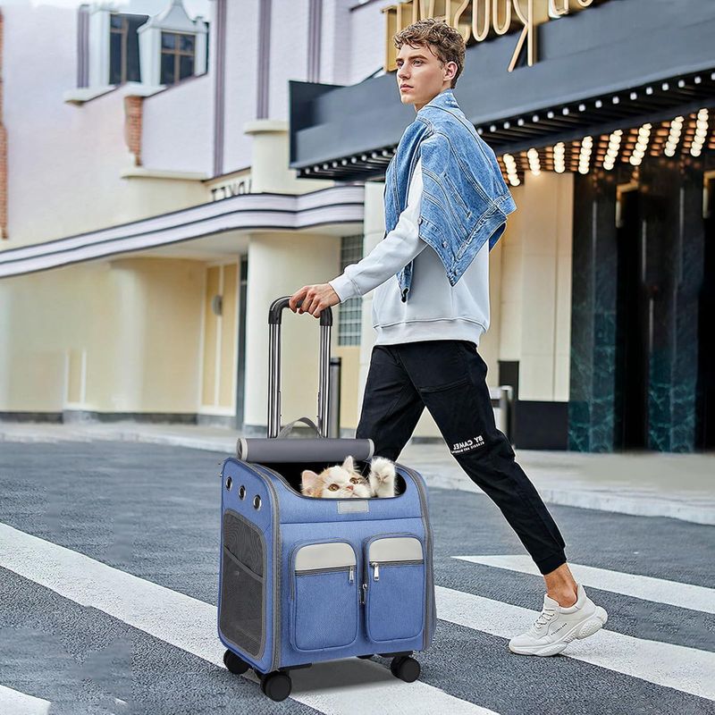 ZENITHMIND Dos de Transport pour Chat et Chien Poussette pour Animaux