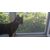 Cat Safety Net - Transparent | zooplus